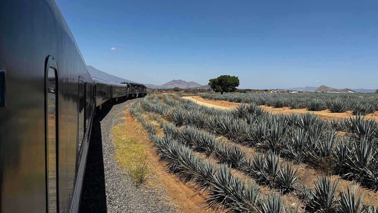 Dónde puedo disfrutar del recorrido del tren Tequila Herradura Express